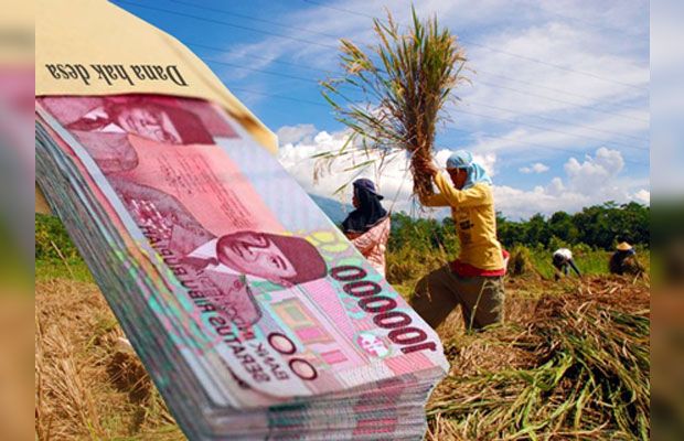Dana Desa dan Masa Depan Pertanian - CNN Times IDN