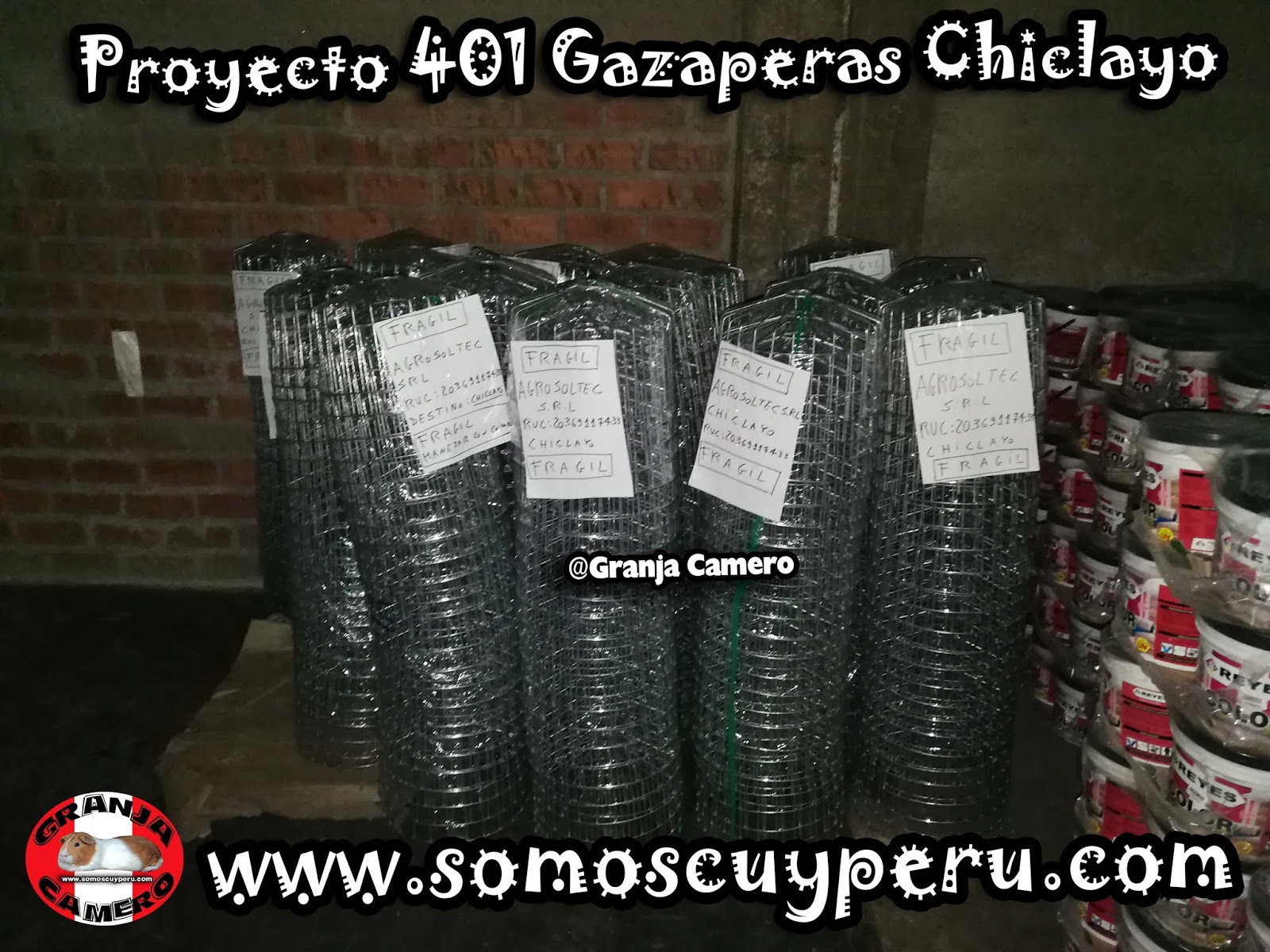 GAZAPERAS PARA CUYES ~ SOMOS CUY PERU