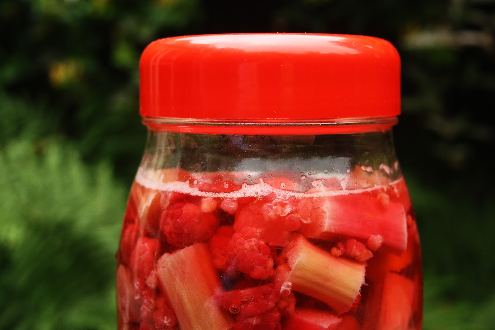 wanton flavours: SUMMER FRUIT KVASS - SIMPLE FERMENTED FRUIT DRINK
