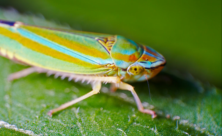 Dana's Photography: Example of Medium Depth of Field