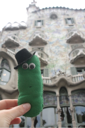 Nomadic Pickle: The Pickle Project: Hola Señor Pickle