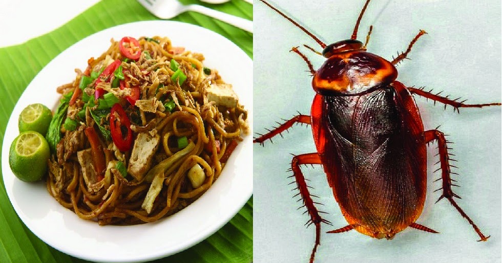 Gurauan Racun Lipas Di Dalam Mi Goreng Pelajar - NORTH BORNEO BLOG