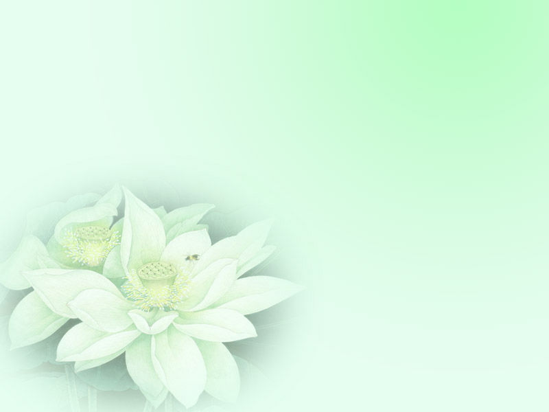 Hand-painted lotus PPT background