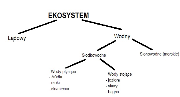 Ściągi, pomoce: [BIOLOGIA] Populacja, biocenoza, ekosystem