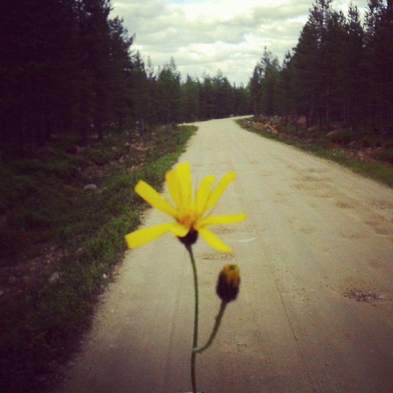 MicroCosmos: insta Finland