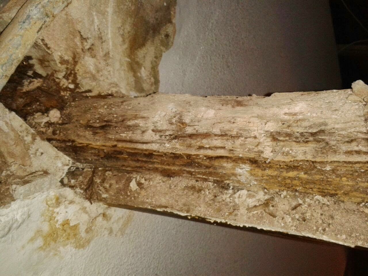 Sustitución de forjado de revoltones SP24 - F*g! arquitecta-Valencia