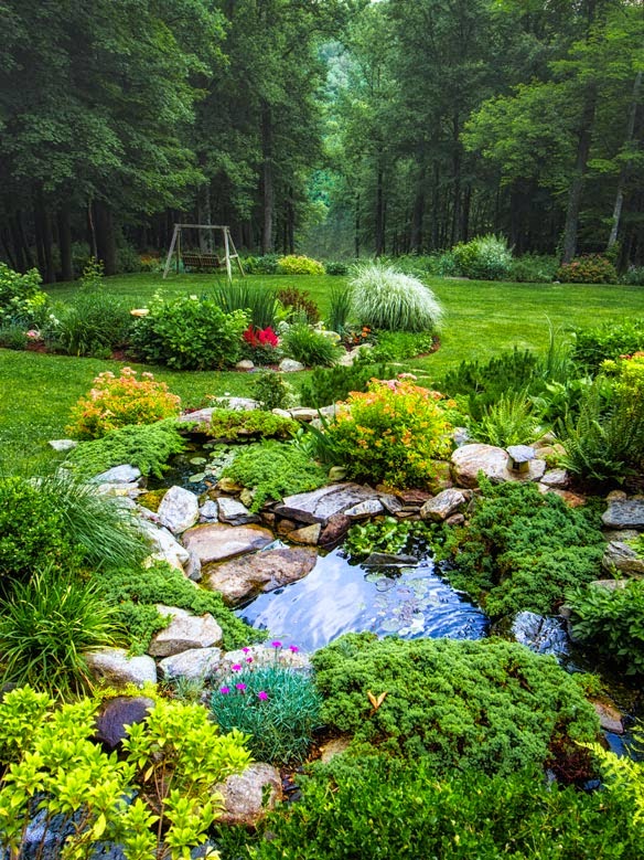 Beginner's guide: Complete Tips for Garden Photography ~ Photography