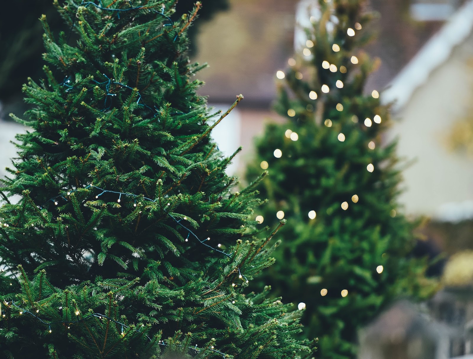 Residential Christmas Light Installers In Michigan 2016 Residential Christmas Light Installers In Michigan 2016