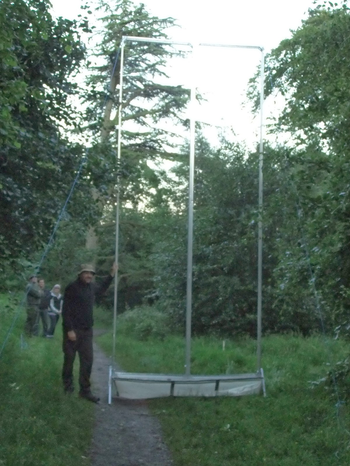 David's Bat Blog: Goliath - the Daddy of harp traps