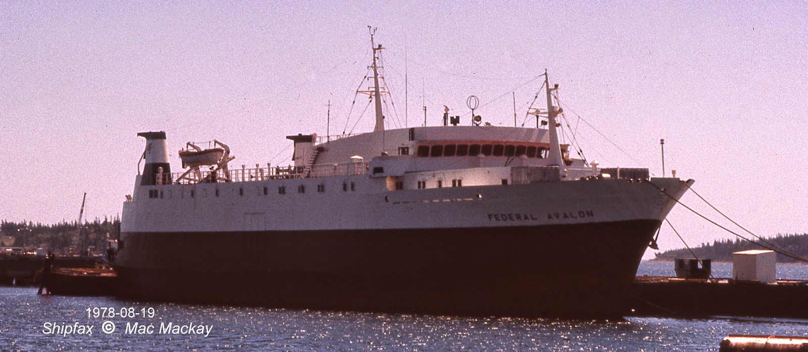 Shipfax: Fednav RoRos