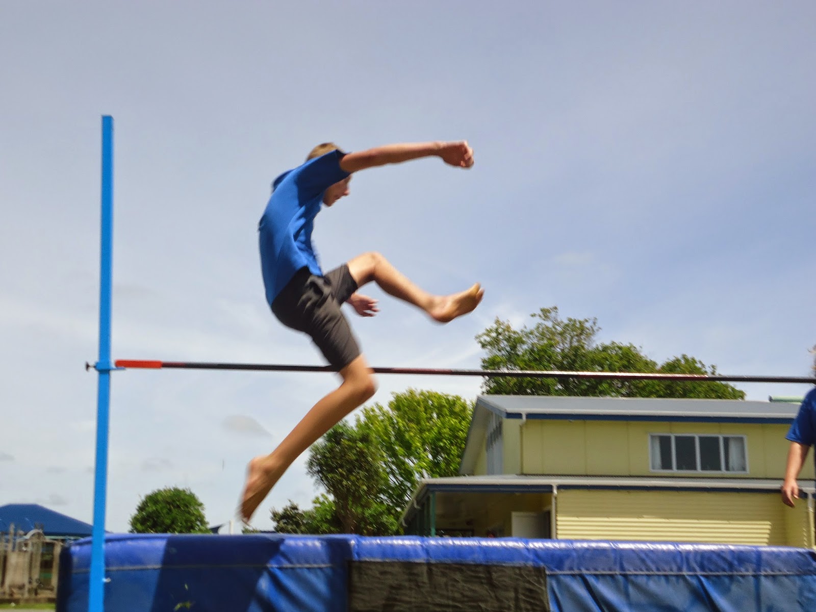 Room 5's Blog, Dargaville Intermediate School