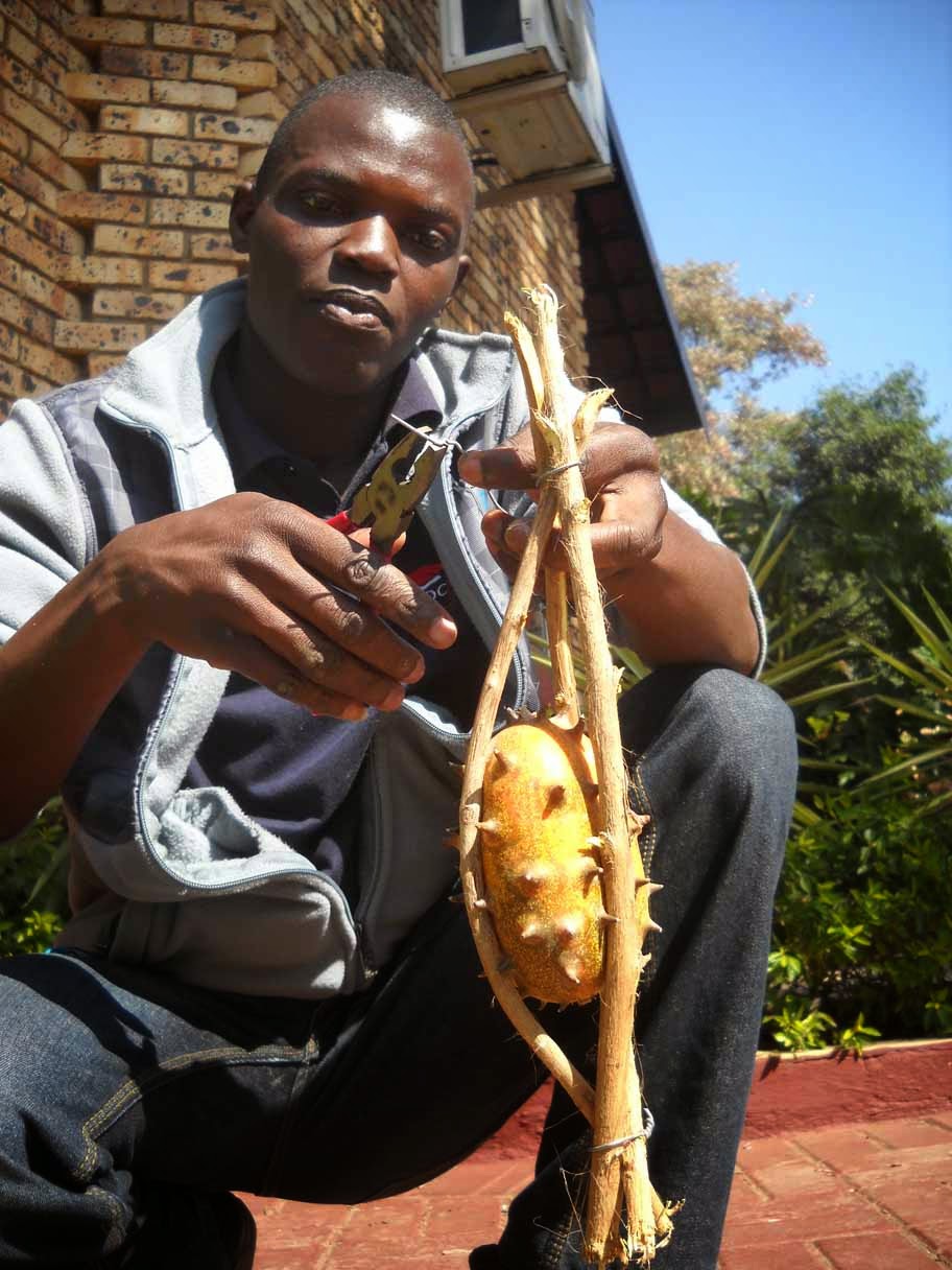 Growing our green economy