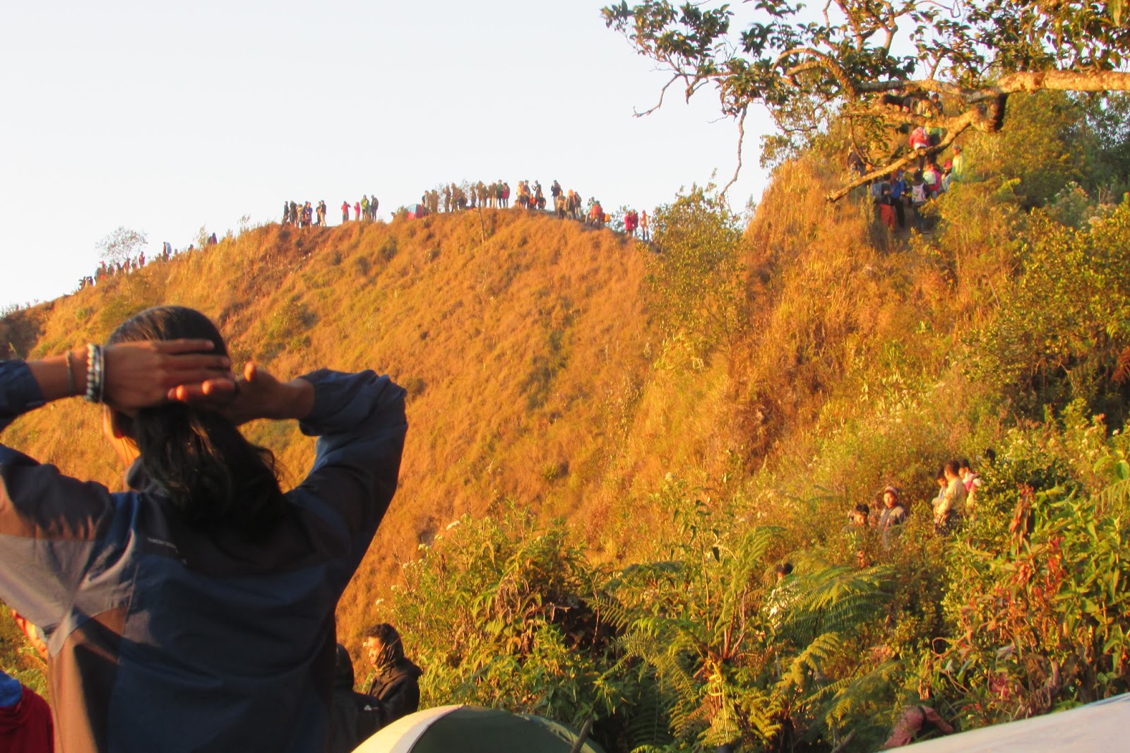 Main ke Puncak Mega Gunung Puntang | Jejak Umurku | Info Pendakian ...