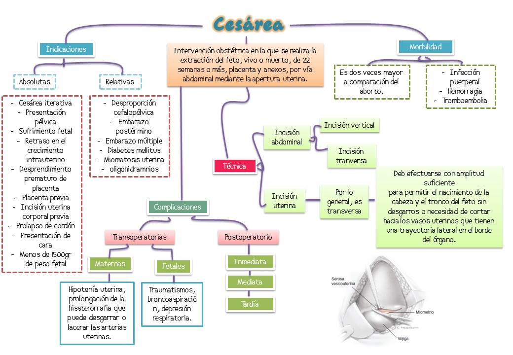 Blog de evidencias de la materia de Ginecología y Obstetricia: Parto ...