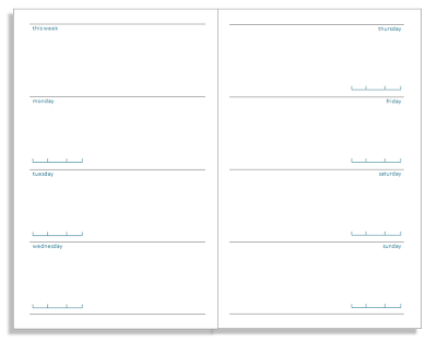 My Life All in One Place: Field Notes and Moleskine size undated diary ...