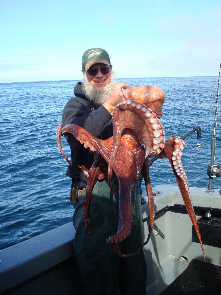 American E-Store: Octopus ..Eight Legs .. Thousands Eggs.