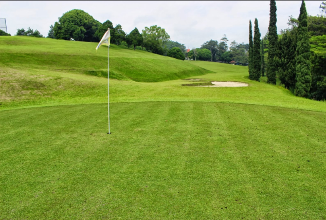 Olahraga Golf: Sejarah, Peraturan dan Teknik Dasar Permainan Golf ...