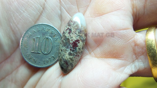 BLOG UTAMA Y.M PADUKA AYAHANDA PAY 8: GELIGA ULAR KATAM TEBU