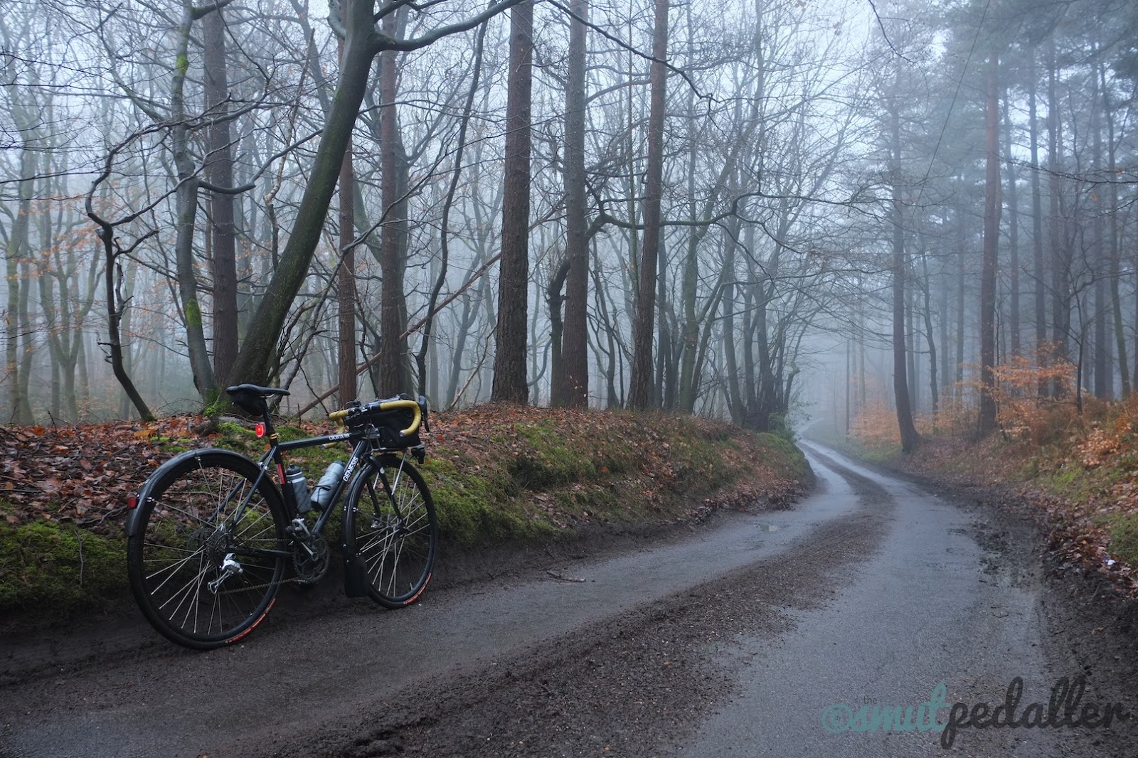 The Smut Pedaller: Surrey Hills and Winterfold Forest