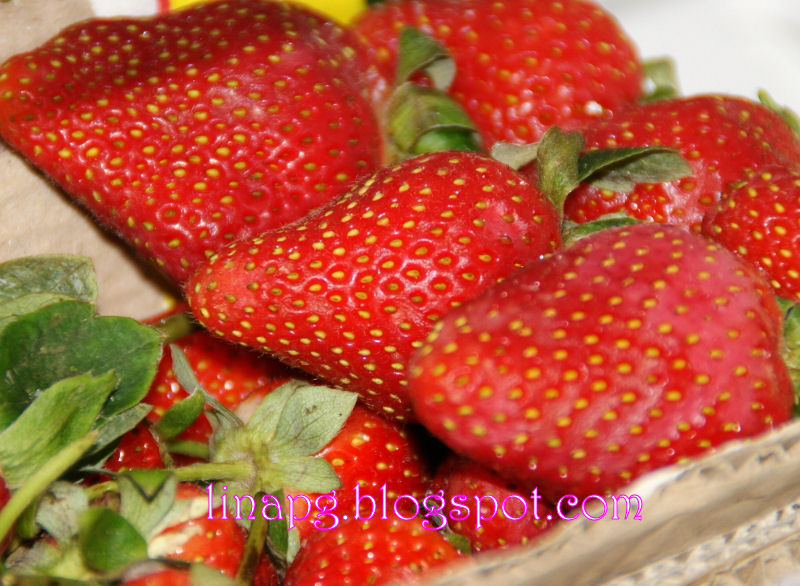 Bandung Escapade - Tangkuban Parahu - TERATAK MUTIARA KASIH