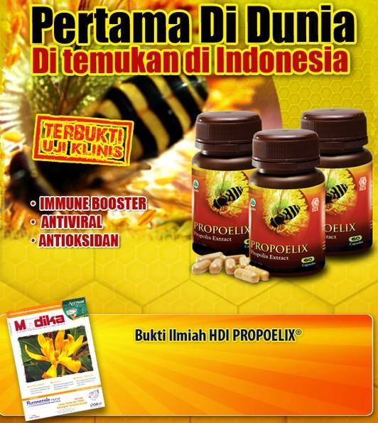 Manfaat dan Detil Produk Madu High Desert