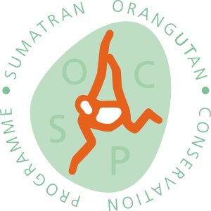 Zoo Jobs: Job Opportunity - Orangutan Conservation