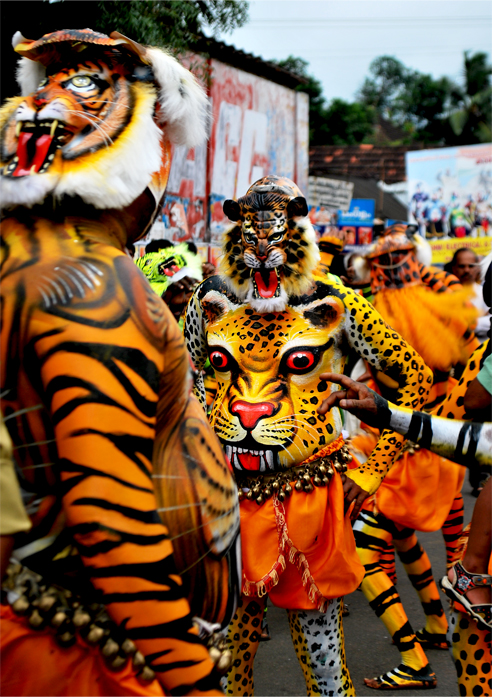 ZOOMININDIA: Tiger Dance of India