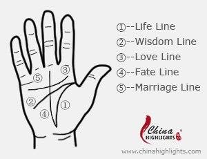 Meaning of the Five Lines on a Palm