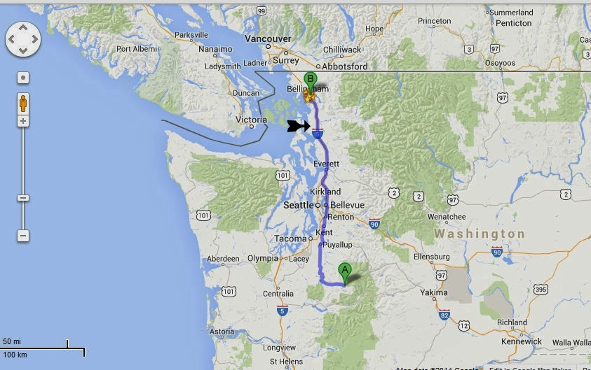 Scene Through My Eyes: Birds and Mountains