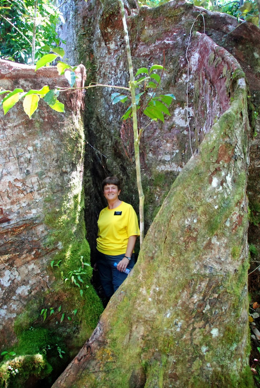 Reed and Nada Spencer: 2013-11-03