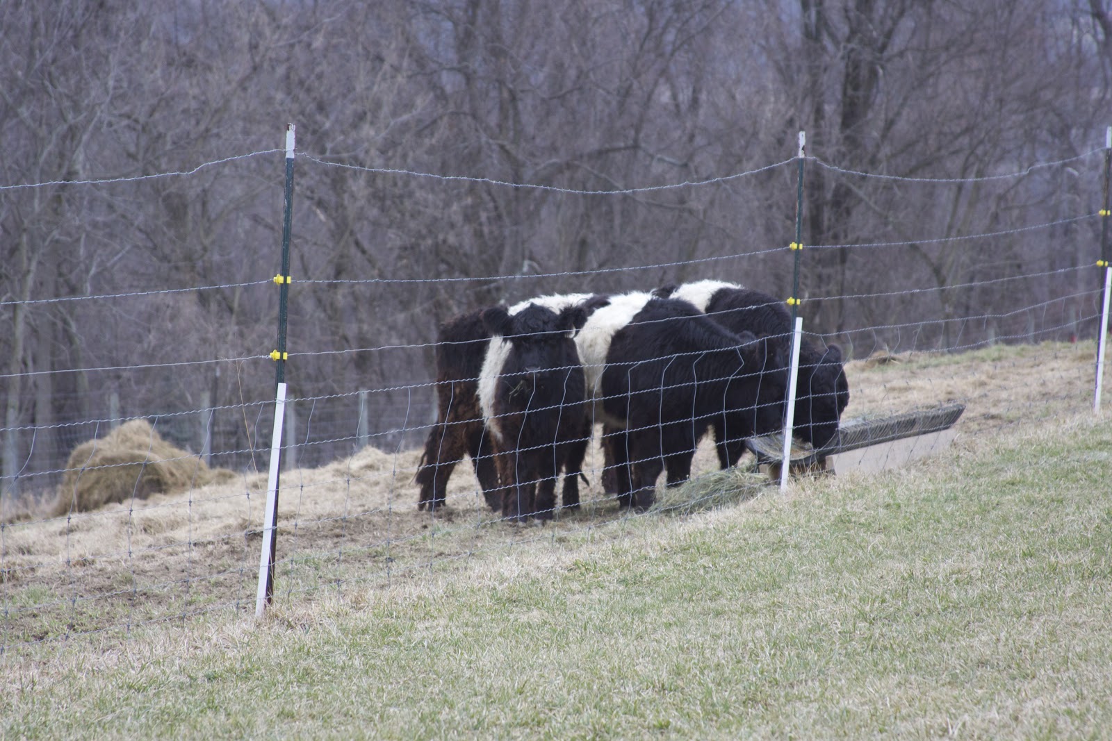 Down On The (Howard Family) Farm