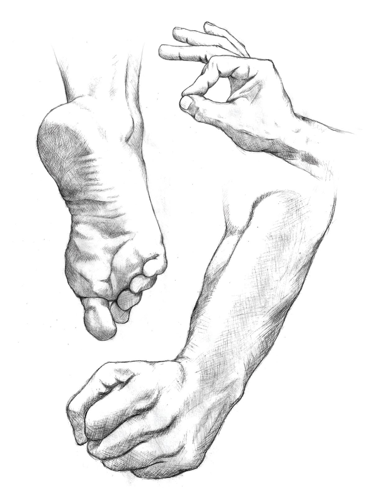 The Art and Animation of Kyle Casey: Hands & Feet Studies