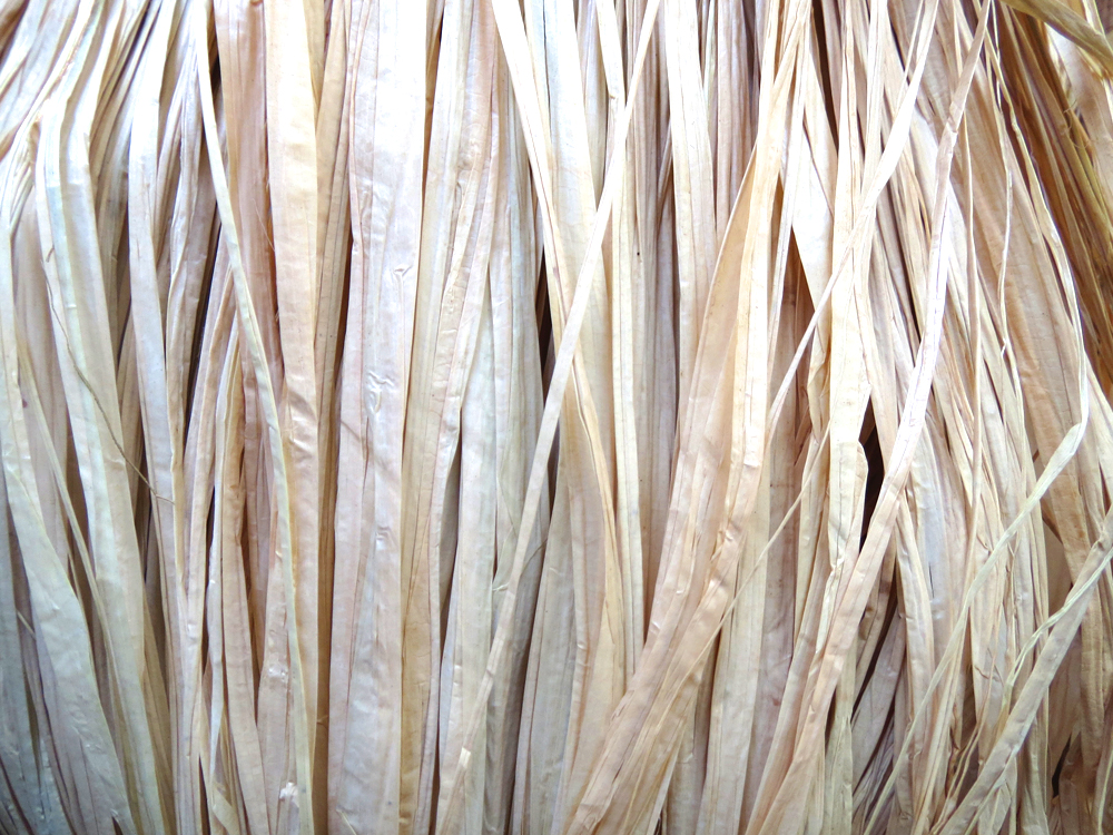 Serendipia: Rafia natural