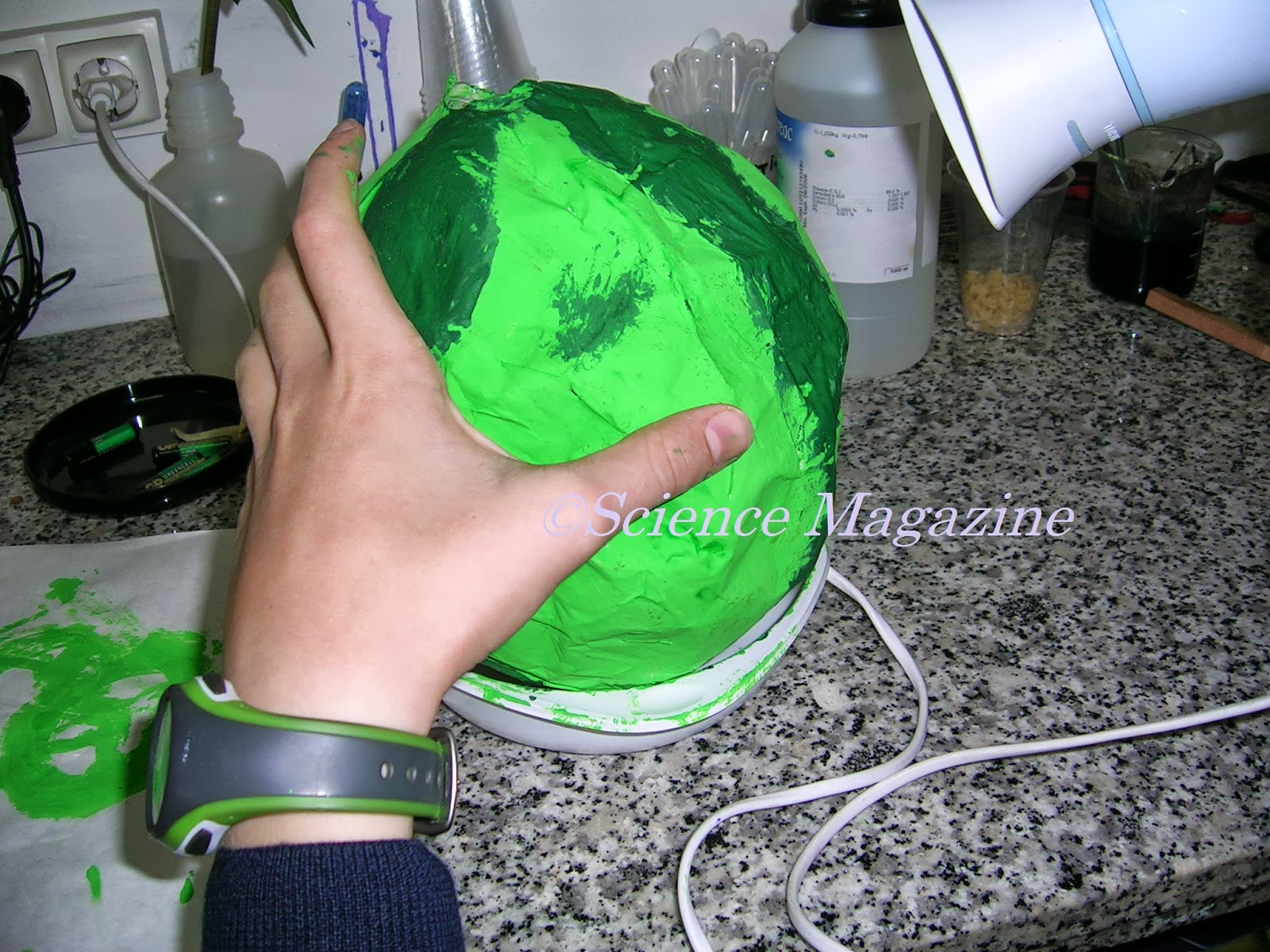 Science Magazine: SCIENCE FAIR PROJECT - PROTOZOA - By Álvaro Méndez