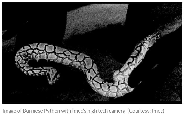 Image Sensors World: Imec Hyperspectral Camera Detects Pythons