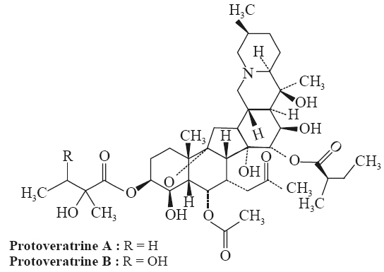 Protoveratrines-obtained from the rhizome of Veratrum album (American ...