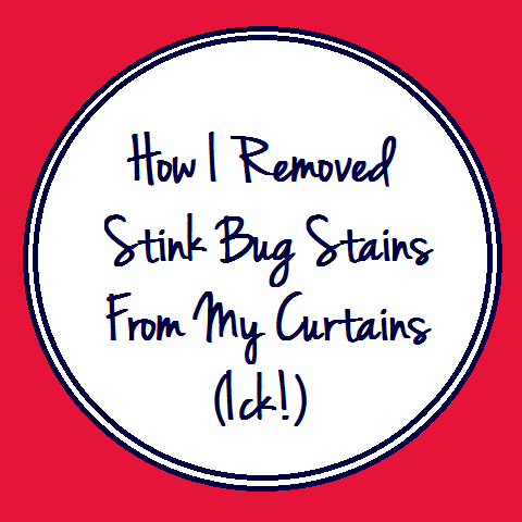 An Open Window: Removing Stink Bug Stains From Curtains {Or Nesting Part 1}