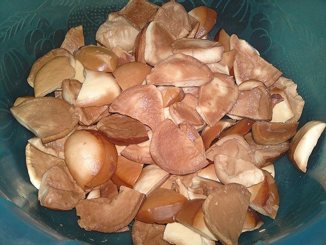 Buah Kepayang - Homecare24