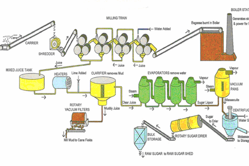 Sugar Plant Manufacturing Process at Skye Milliner blog