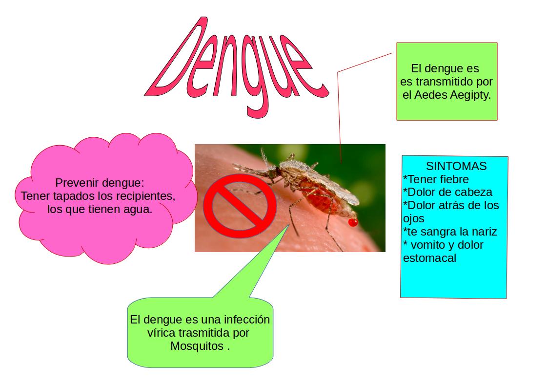 Escuela Italiana Primaria : El dengue