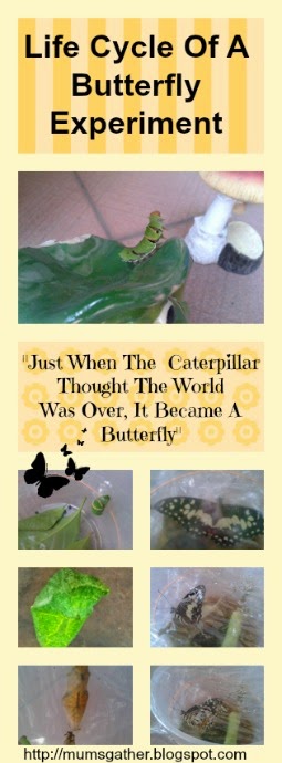 November 2013 ~ Parenting Times