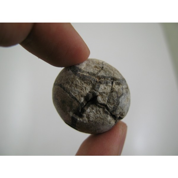 Msalya-myfamily: UCHIMBAJI WA JIWE LA SUMU YA NYOKA