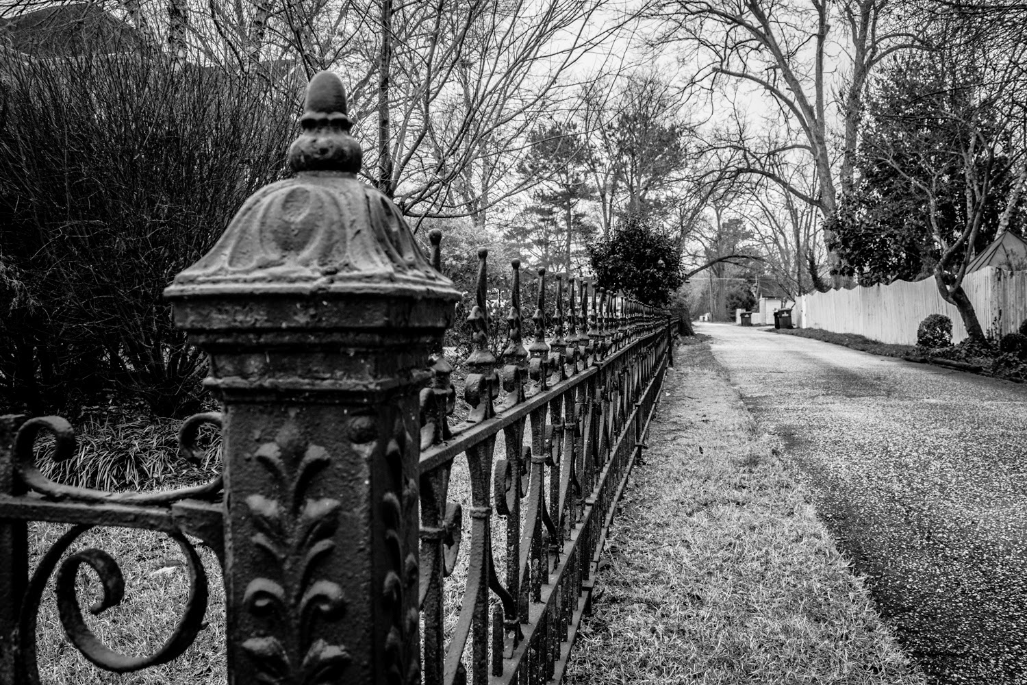 Natures Views Photography: Dunn Nc on a Deary Day