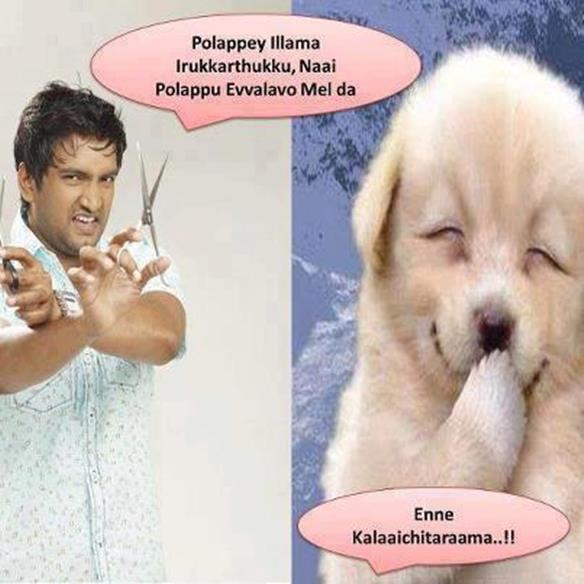 Facebook Fun Pictures: FB Fun Images