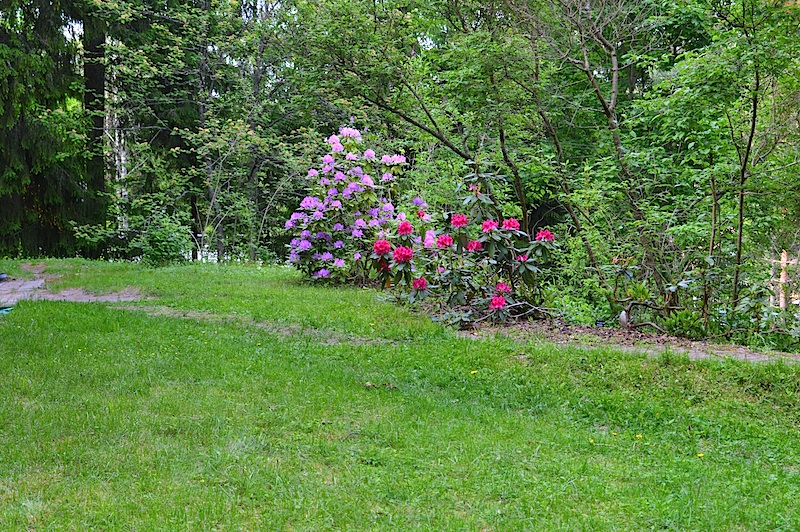 Kadaka aiapäevik - Kadakas Garden Diary