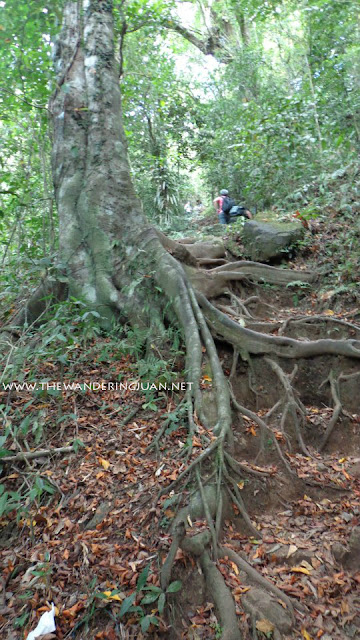 Conquering Mountains: Mt. Manabu - The Wandering Juan
