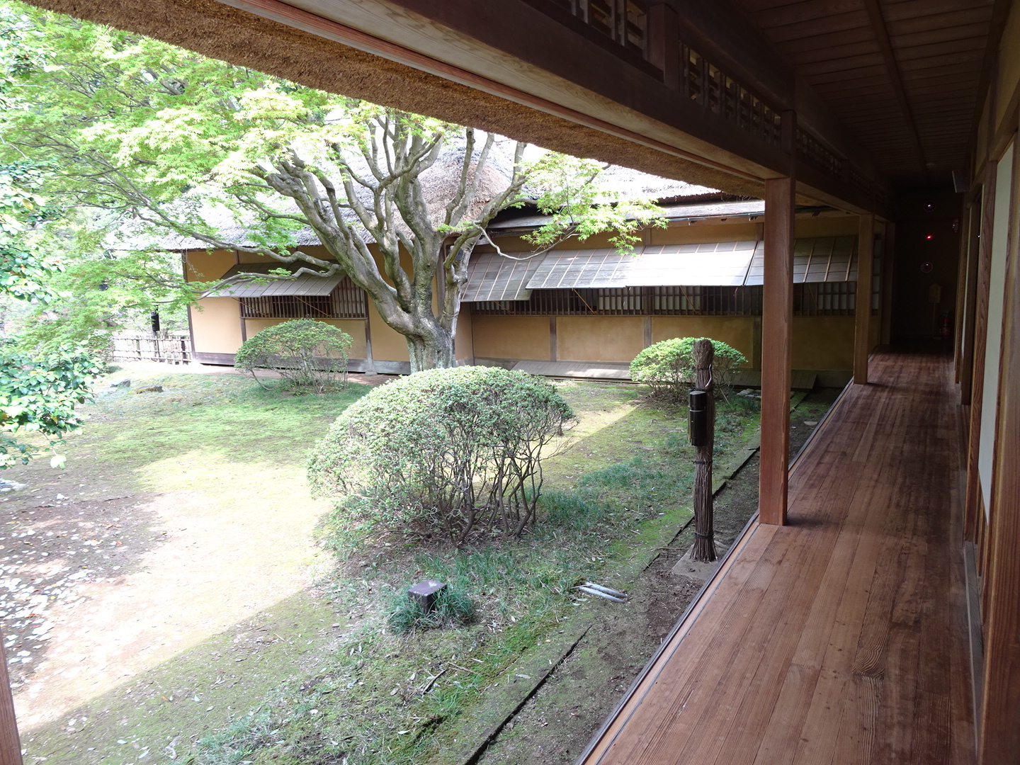 Adam Wynn's Japan Blog: 2017