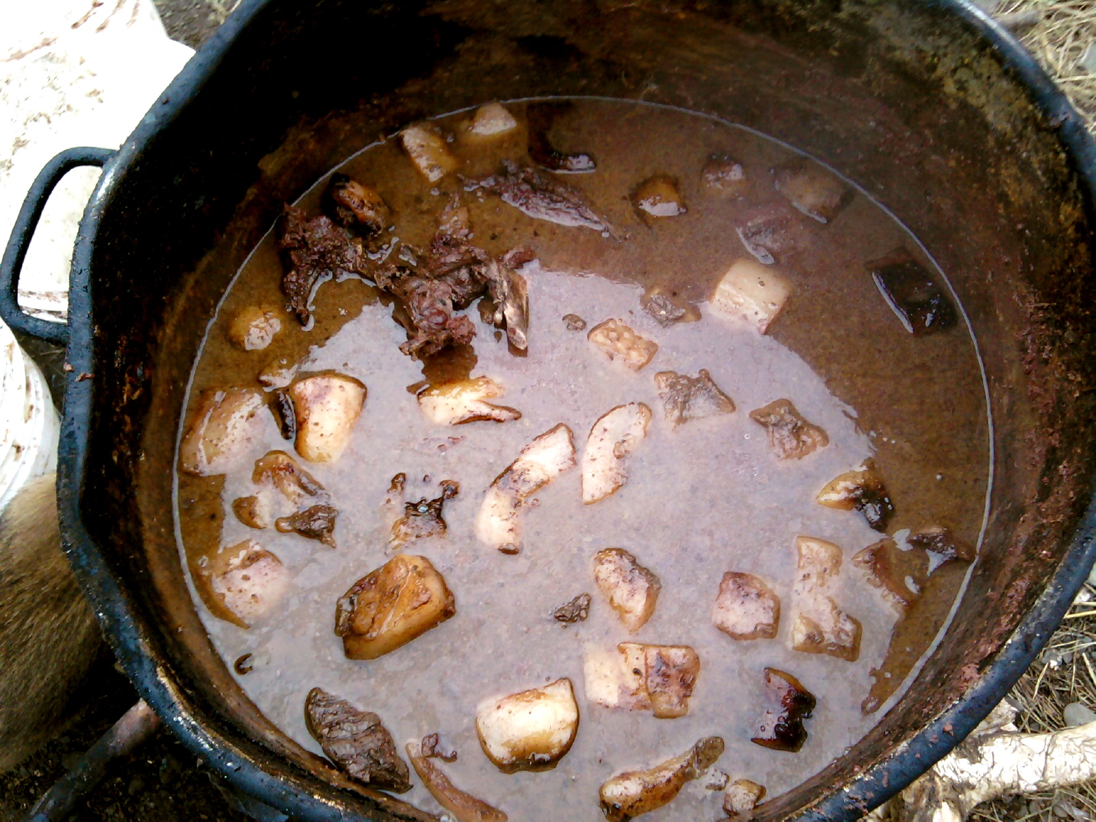 Scratching the Itch: Transition, Siku Kennel, and Seals