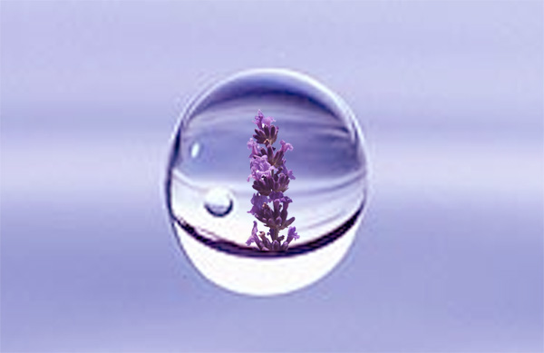 TheSoapCafe`: What are Floral waters/ Hydrosols?