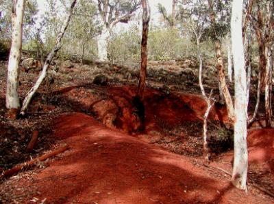 Artful Voyage: Burials of Primordial People